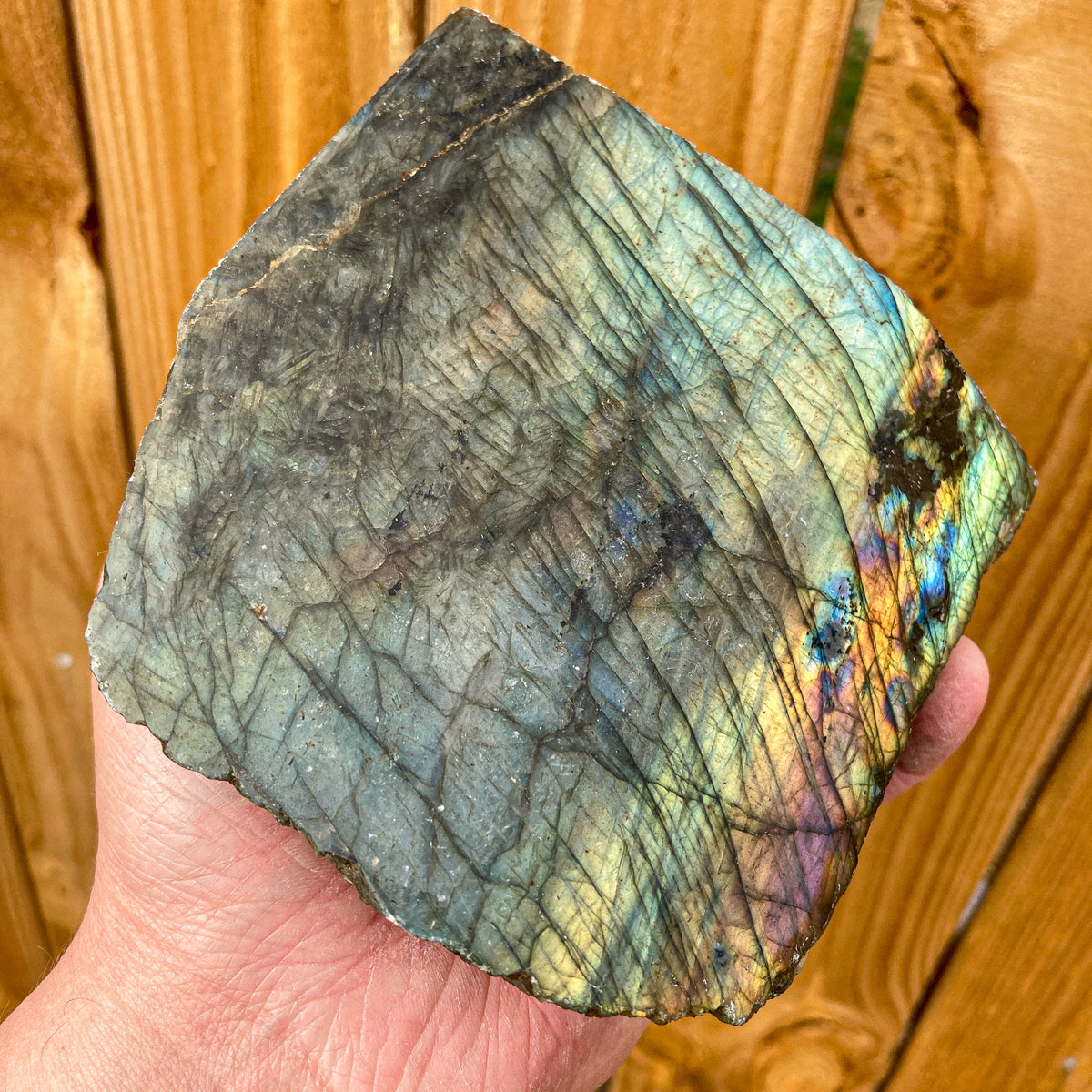 Labradorite Polished: 4.5" Long 2 Lb 15 oz (1.33kg) Madagascar Raw Nat ...
